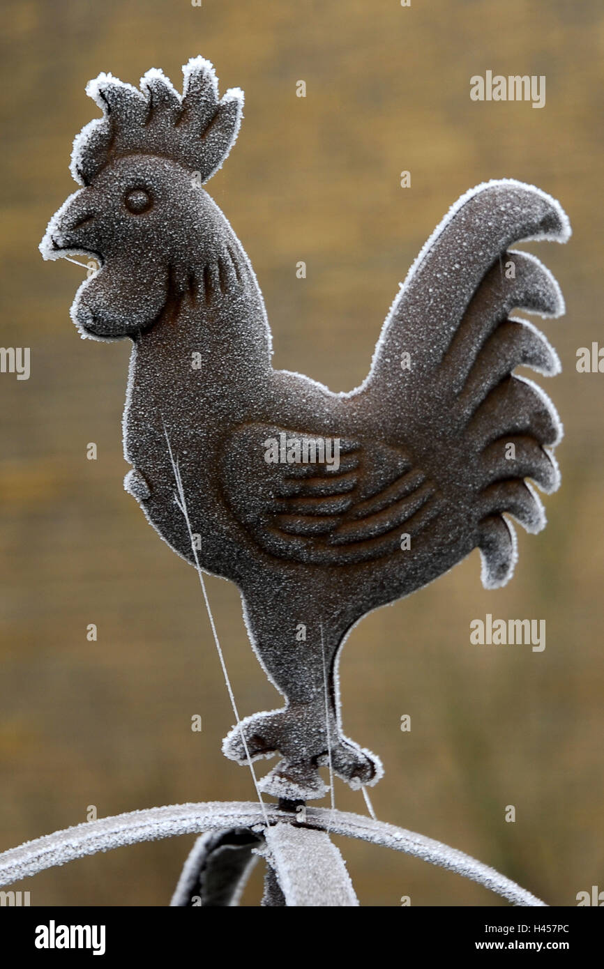 Weathercock hi-res stock photography and images - Alamy