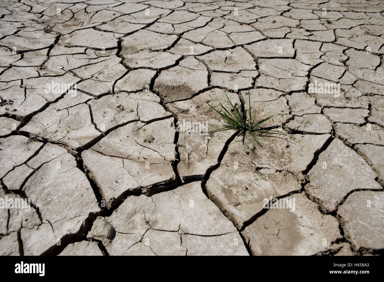 Lean soil hi-res stock photography and images - Alamy