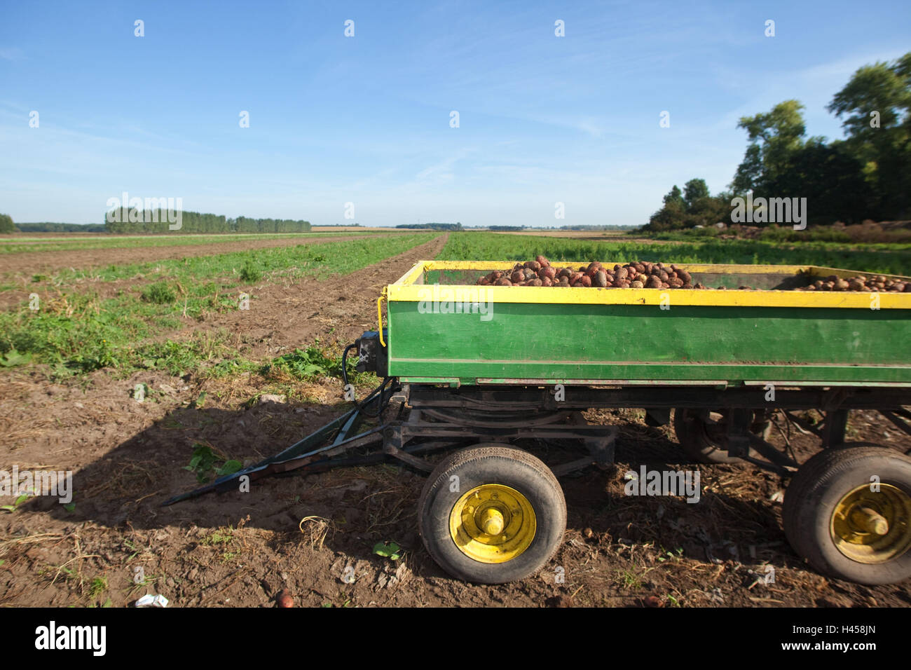 Green trailer vertical on hi-res stock photography and images - Alamy