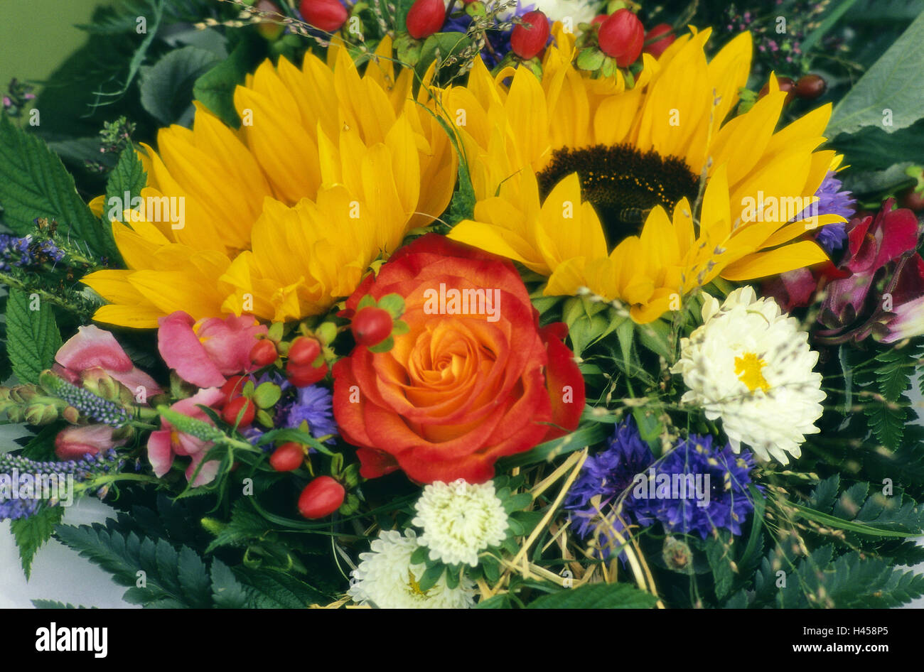 Flower bouquet, from above, detail, Flowers, bouquet, rose, sunflowers ...