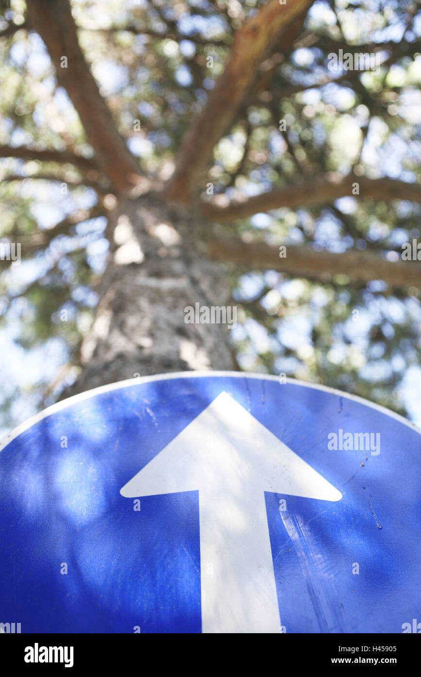 Road sign, sign, arrow, upwards, tree, traffic sign, instruction figure ...