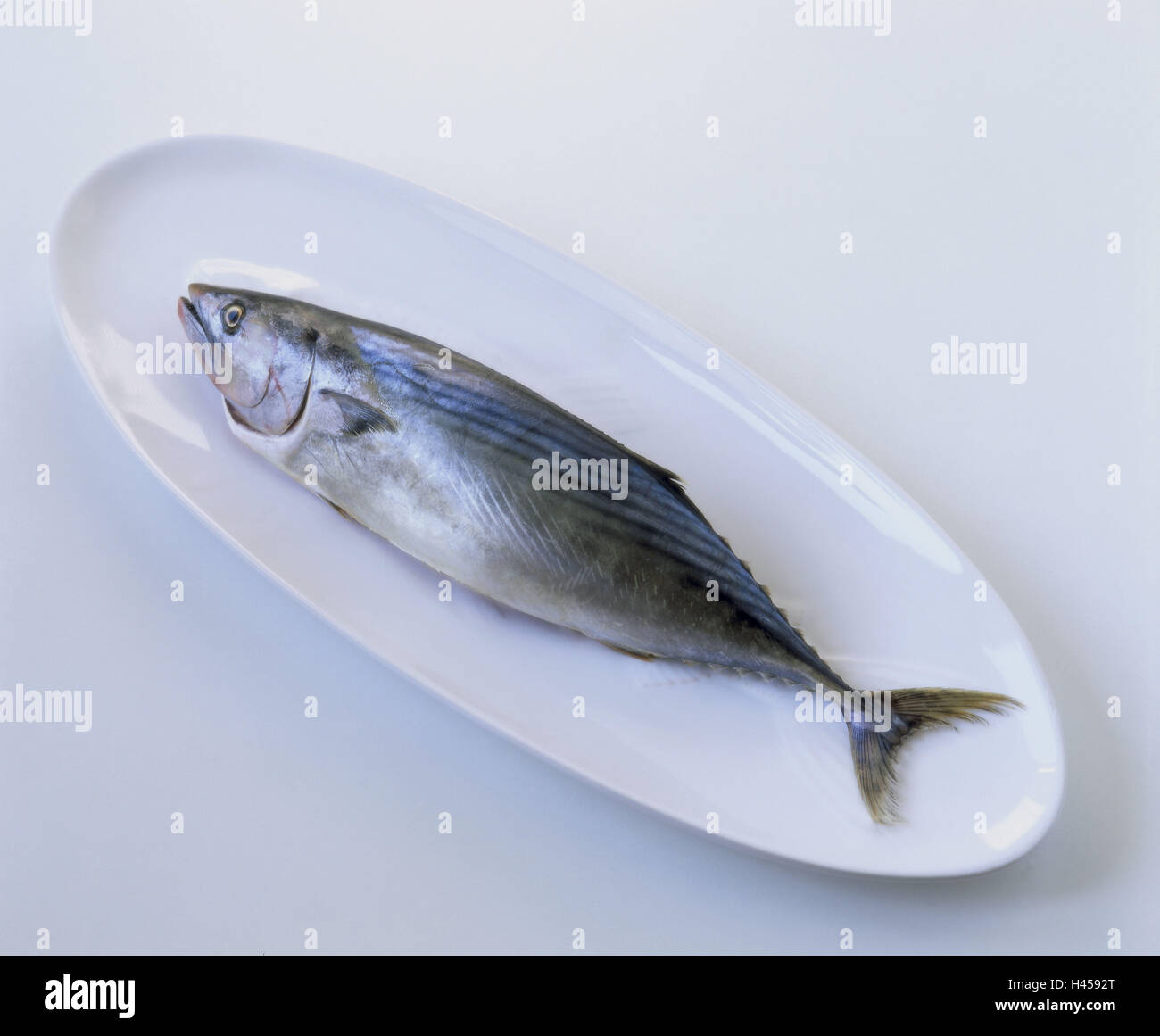 Mackerel, roughly, Food, fish, food fish, fresh, dead, plates, fish ...