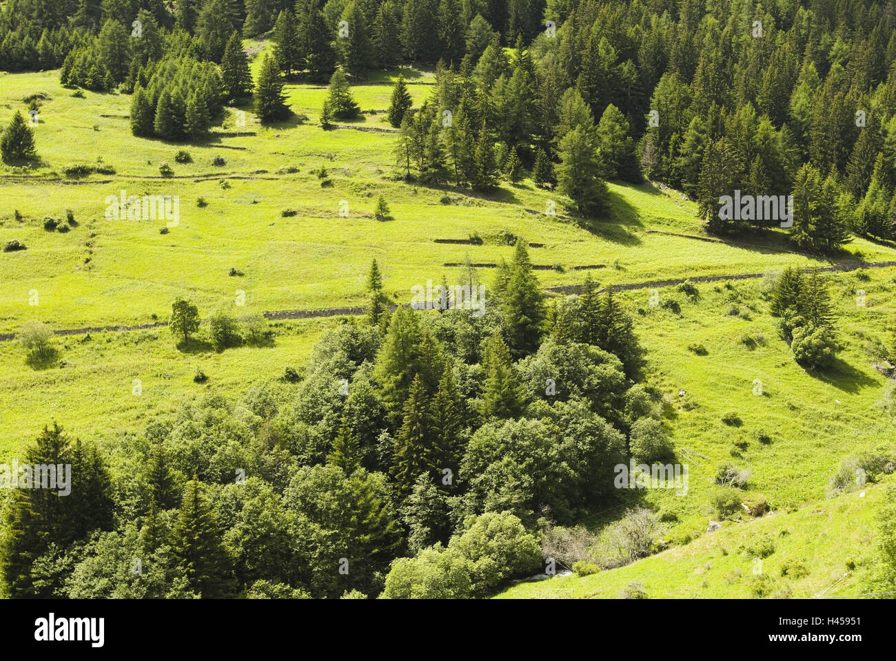 Mountain landscape, meadows, trees, inclination Stock Photo - Alamy