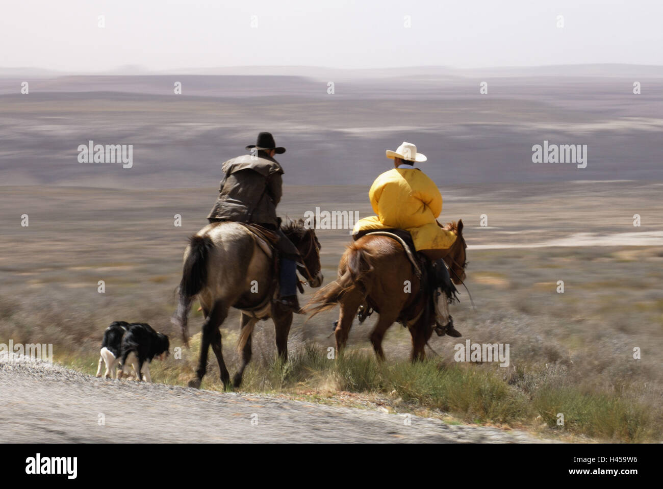 Dog cowboy horse ride hi-res stock photography and images - Alamy