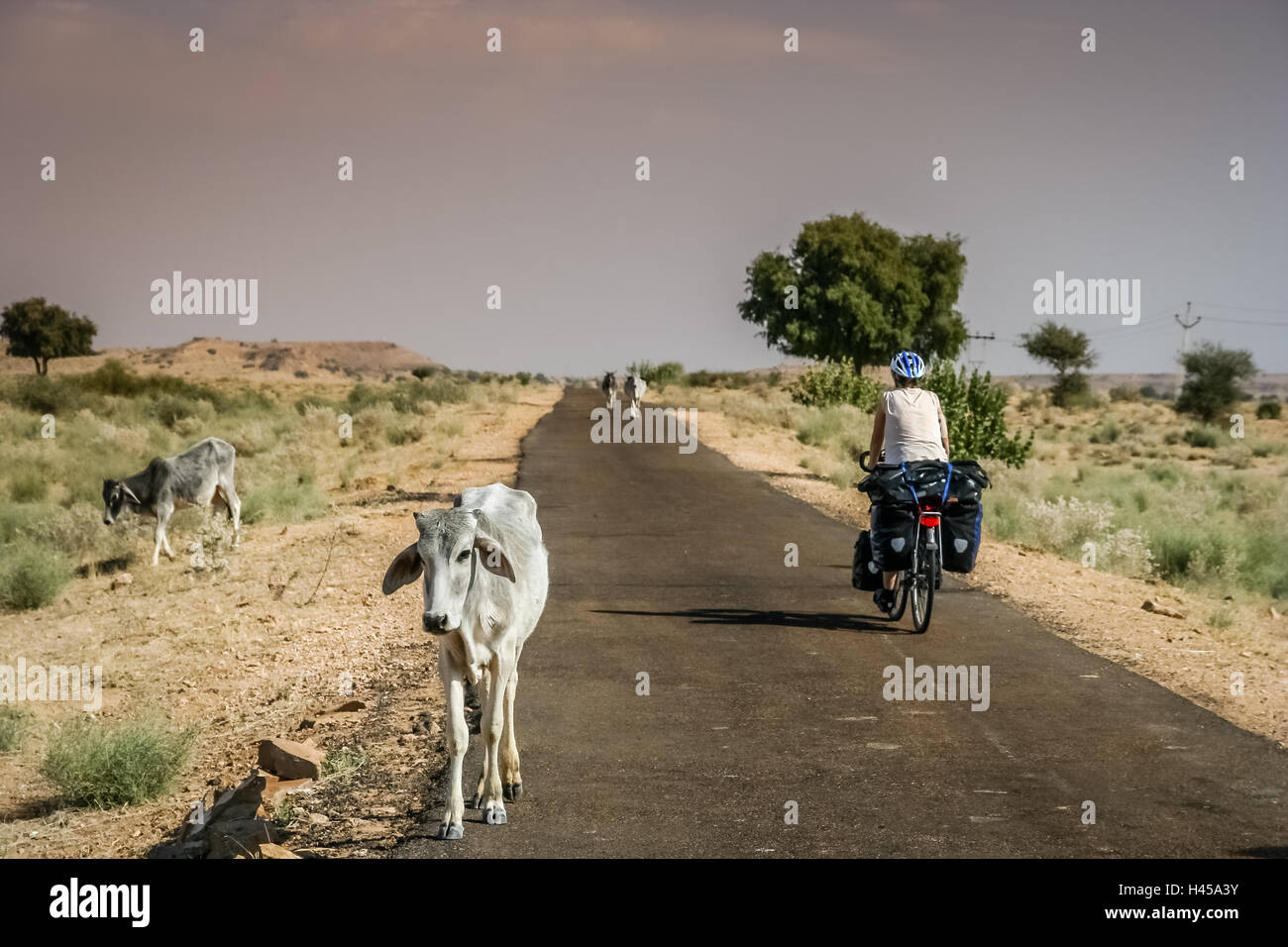 Woman on a cycle touring trip in rural part of India Stock Photo - Alamy