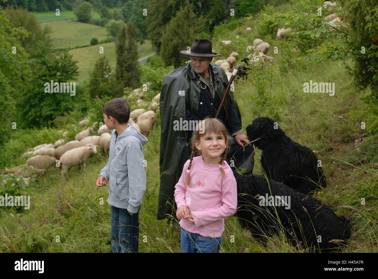 Germany, Baden-Wurttemberg, shepherd, children, sheep, dogs, people ...