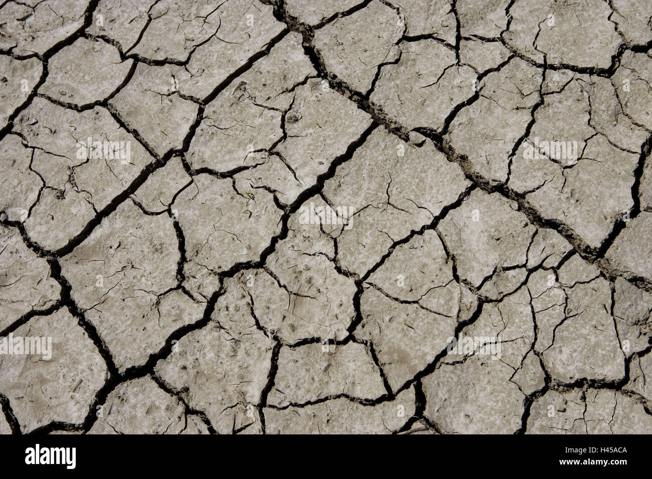 Parched field texture hi-res stock photography and images - Alamy