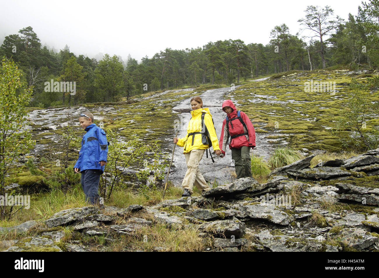 Mountains, family, rainwear, hike, going, downward, series people ...