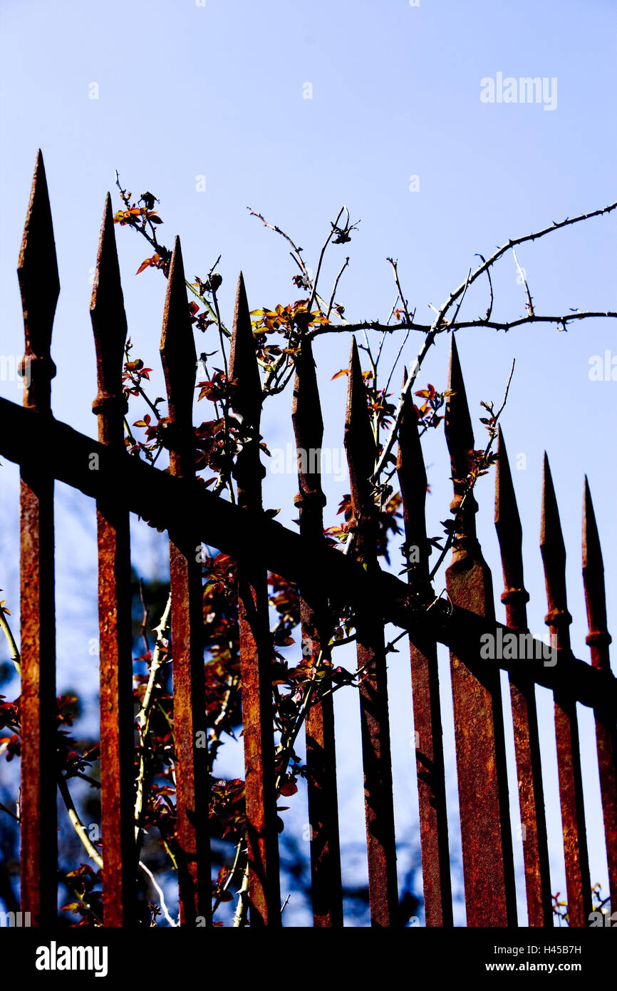 Thorny fence hi-res stock photography and images - Alamy