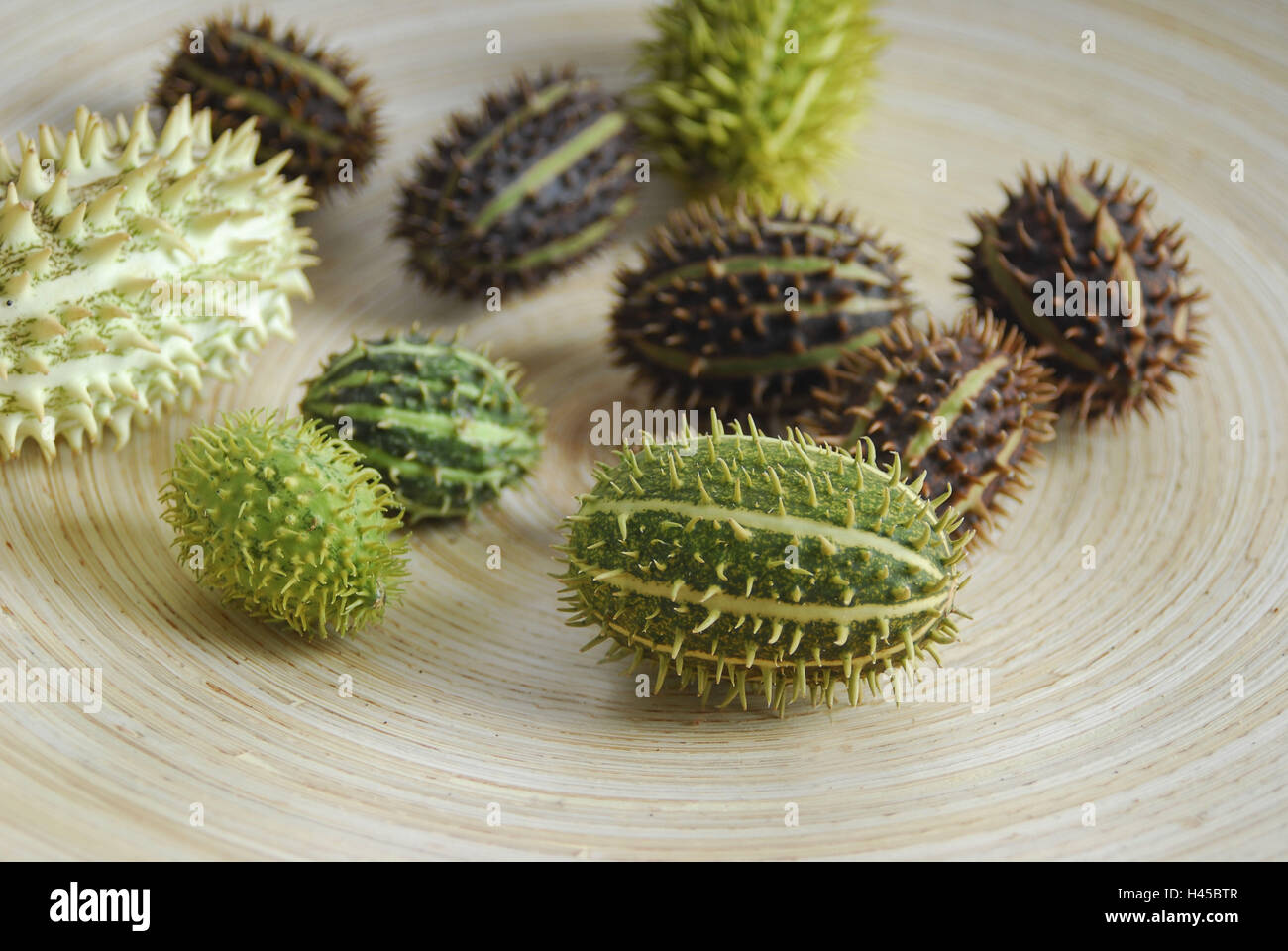 Cucumis spec hi-res stock photography and images - Alamy