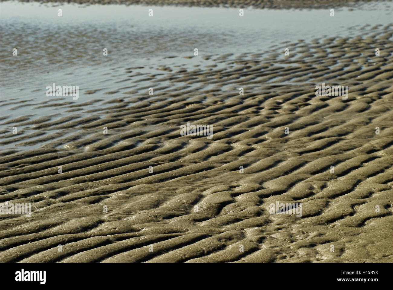The North Sea, mudflat, mud flats Stock Photo - Alamy