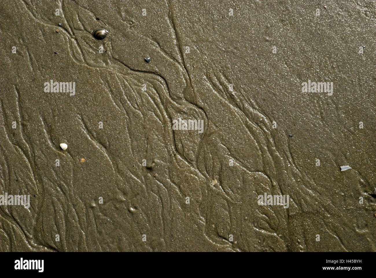 Low tide, mud flats, seabed, grooves, close up Stock Photo - Alamy