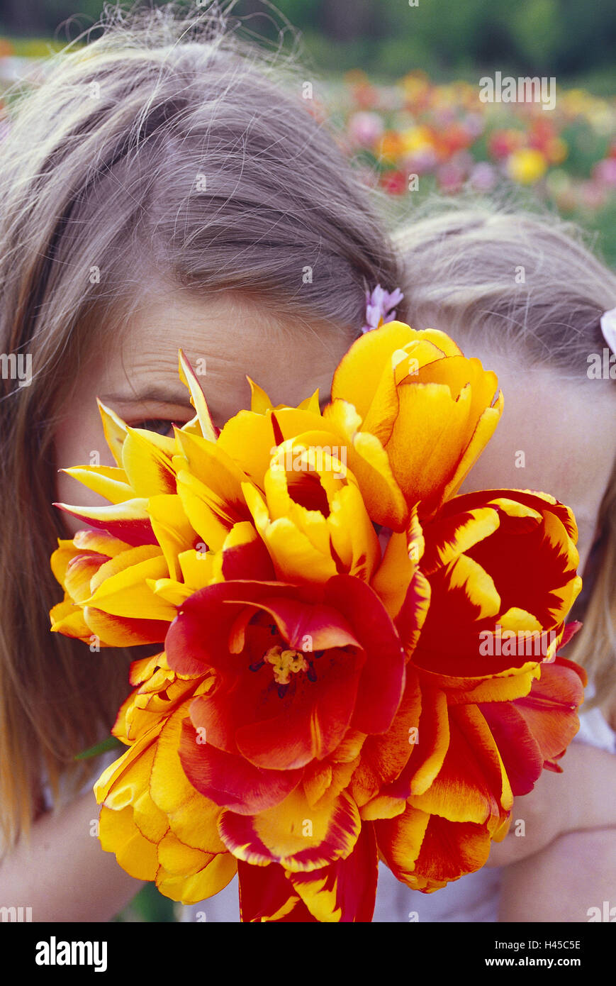 Girls, two, bunch, tulips, look, reproach, people, children, sisters ...