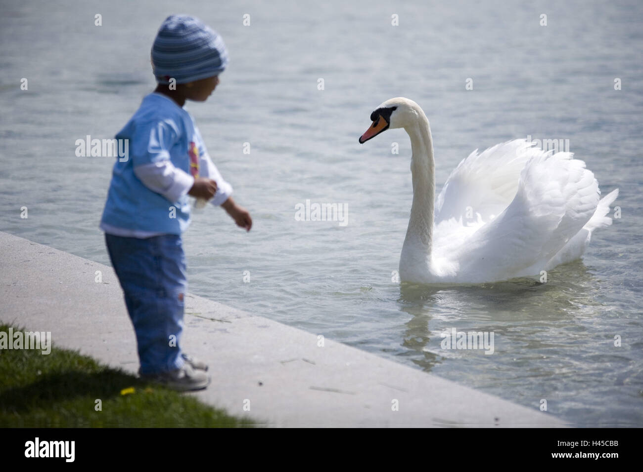 Strapmaker hi-res stock photography and images - Alamy