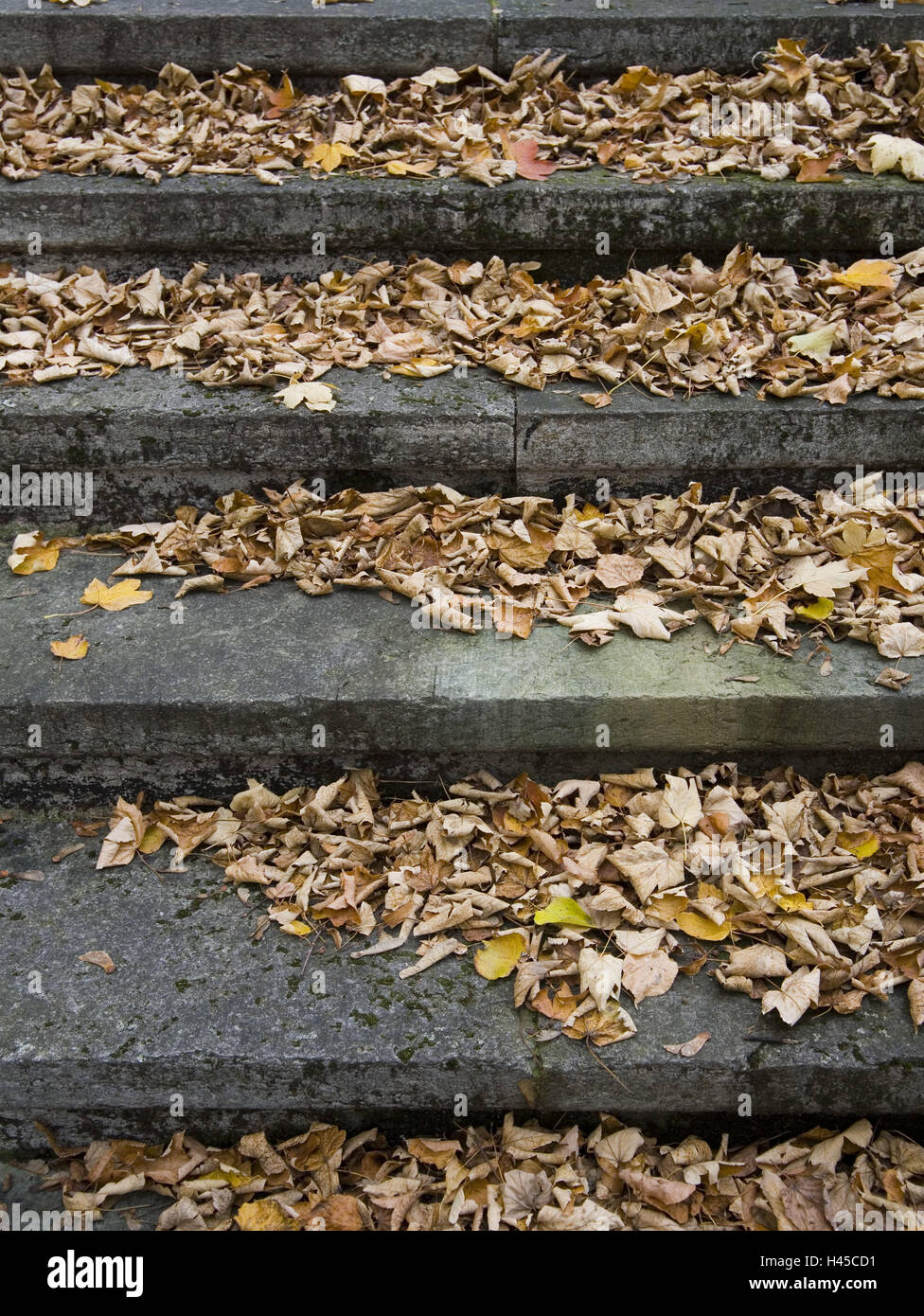 Autumn foliage, stairs Stock Photo - Alamy