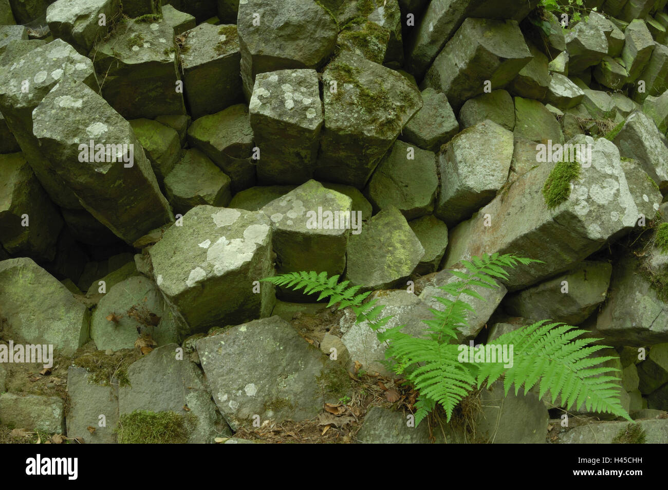 Basalt pillars hi-res stock photography and images - Alamy