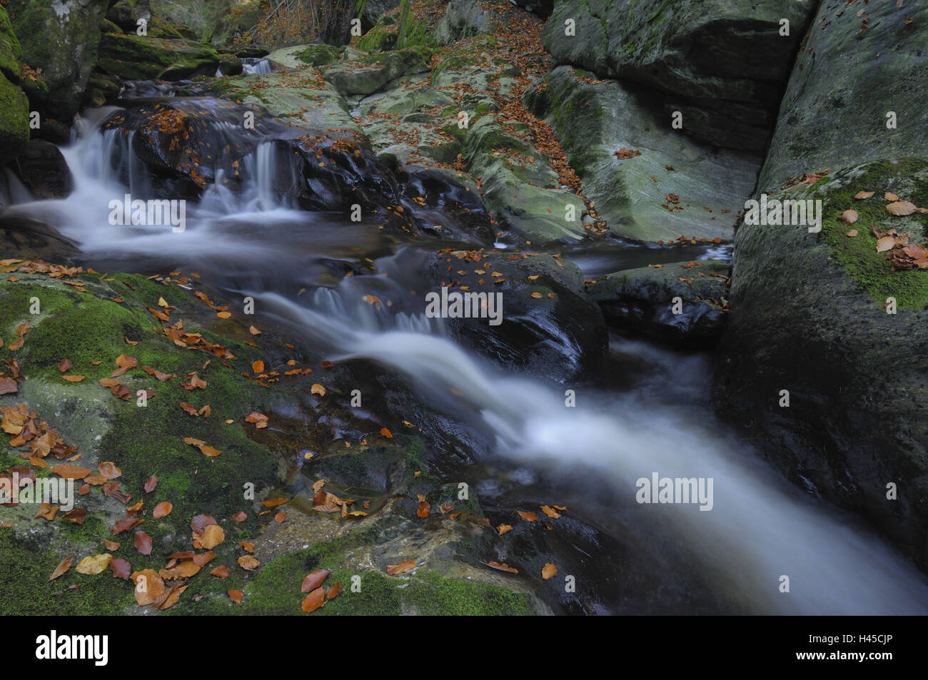 Forest brook, waterfall, autumn foliage Stock Photo - Alamy