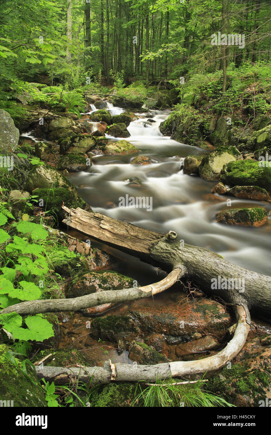 Elend harz hi-res stock photography and images - Alamy