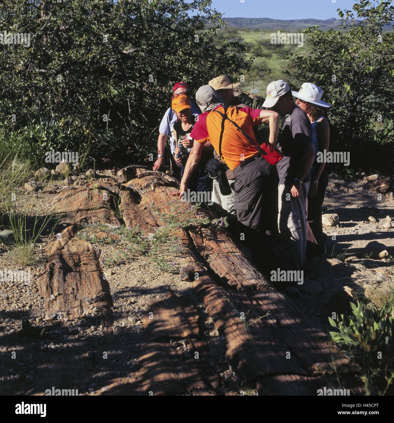South africa fossils hi-res stock photography and images - Alamy