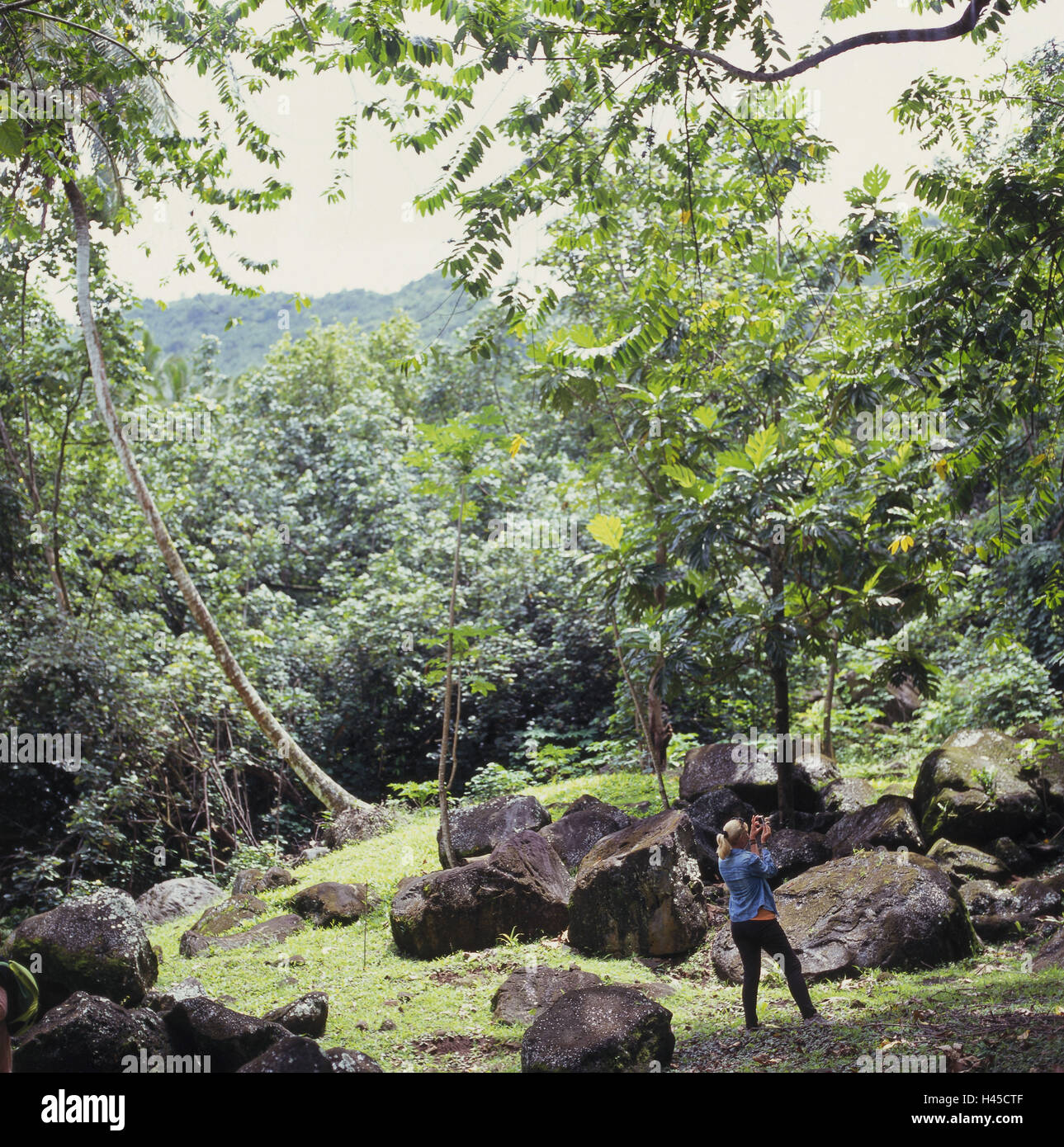 Hatiheu High Resolution Stock Photography and Images - Alamy