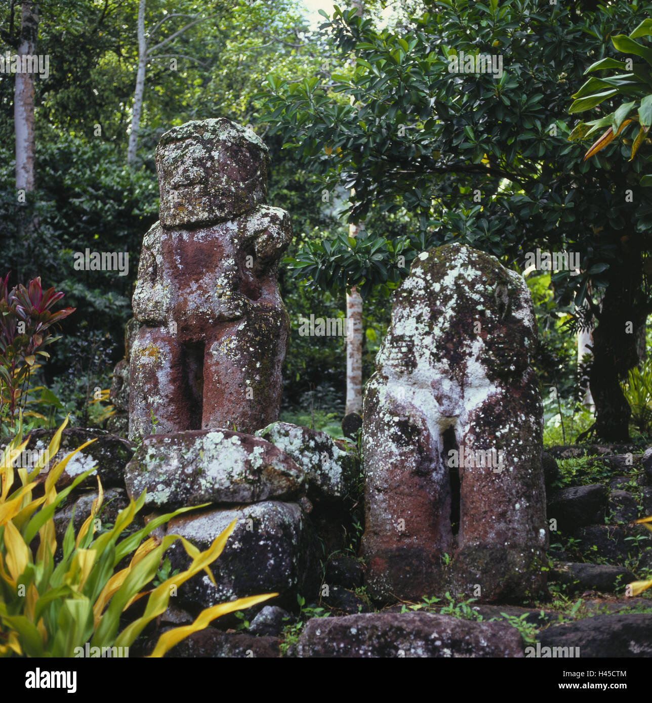 Tiki takai hi-res stock photography and images - Alamy