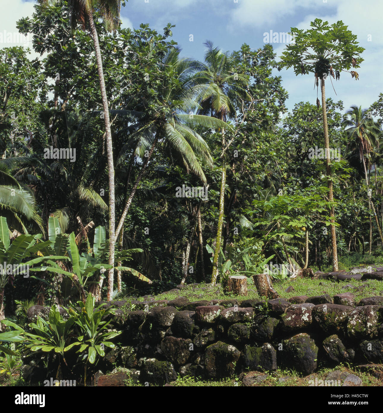 Hiva Oa, French Polynesia High Resolution Stock Photography and Images ...
