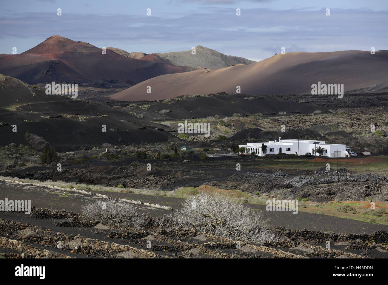 Spain, the Canaries, island Lanzarote, La Geira, volcano scenery, lava ...