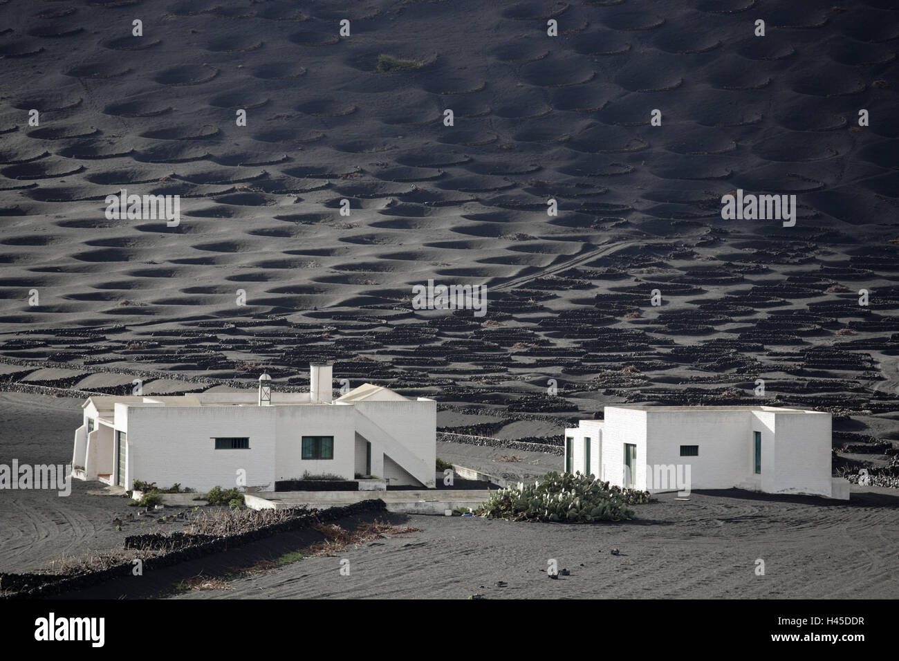 Spain, the Canaries, island Lanzarote, La Geira, volcano scenery, dry ...
