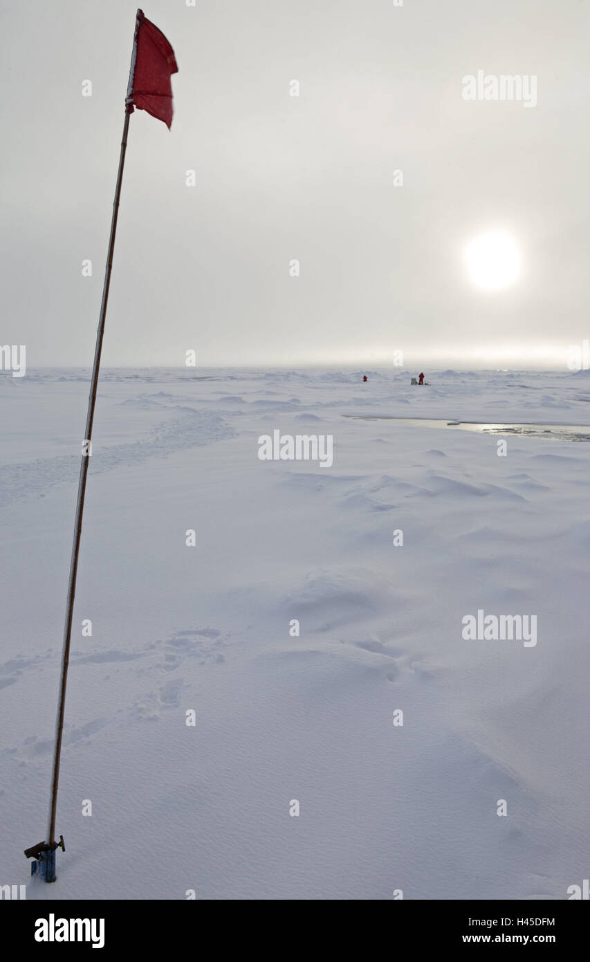 Arctic ocean, pack ice, flag, selection, only editorially, Mau ...