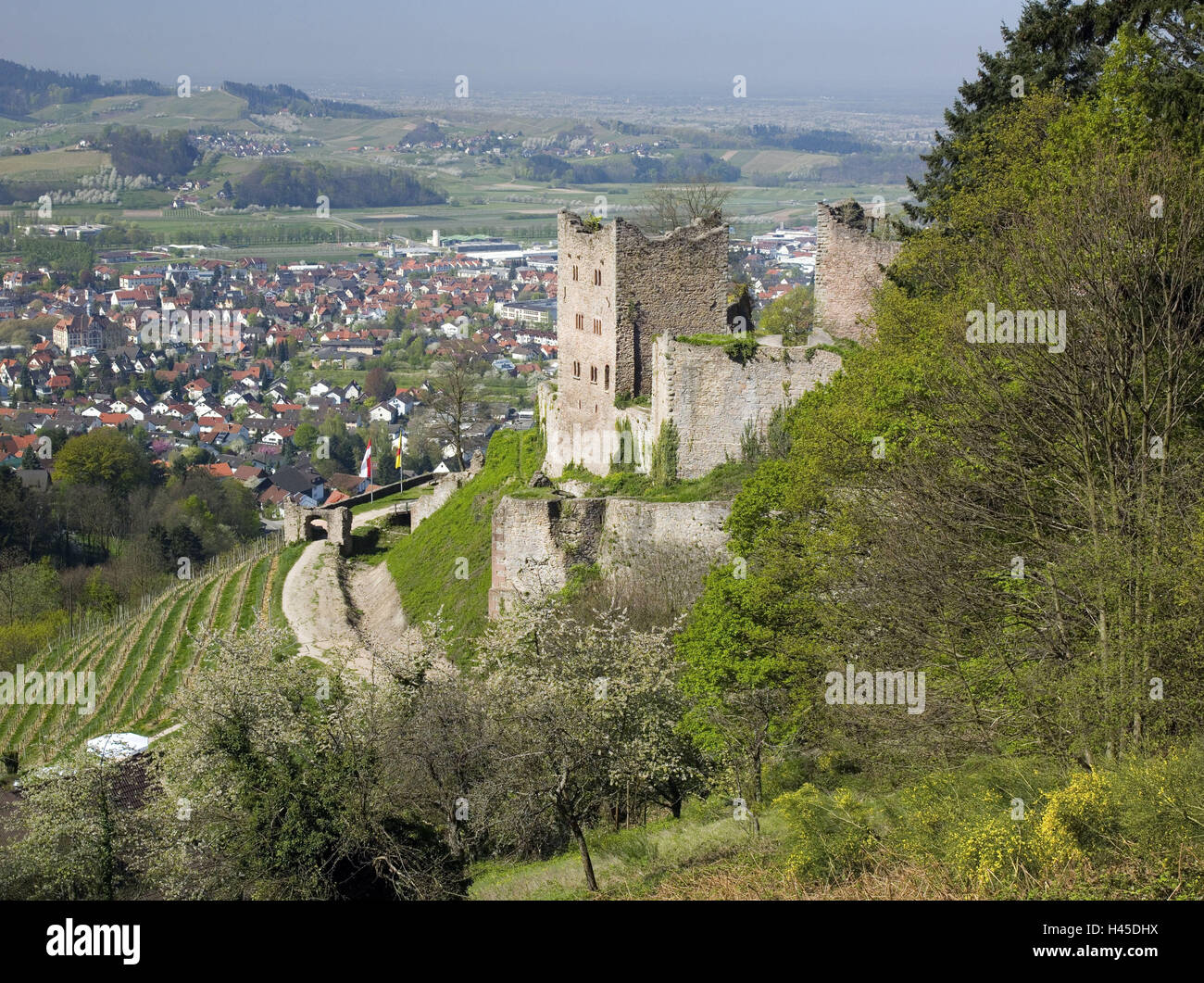 Germany, Baden-Wurttemberg, ruin, looking castle, view, Oberkirch ...