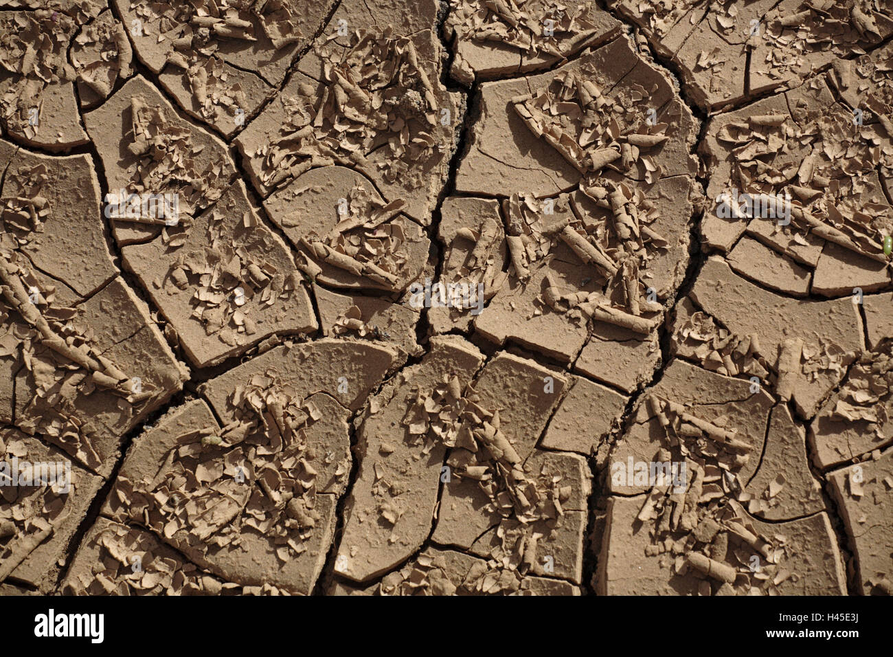 Mud soil, desiccation cracks, detail Stock Photo - Alamy