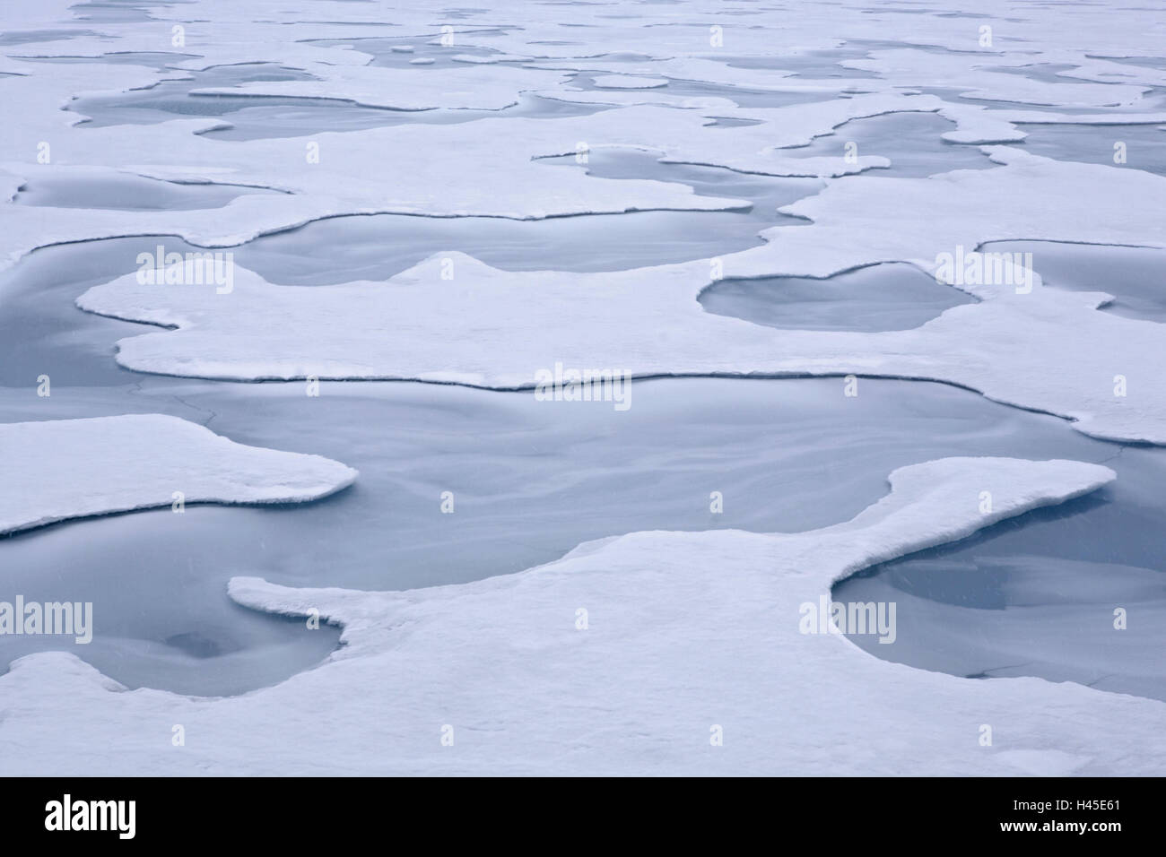 Arctic ocean, pack ice, glaze pool, for editorial use only, expedition ...