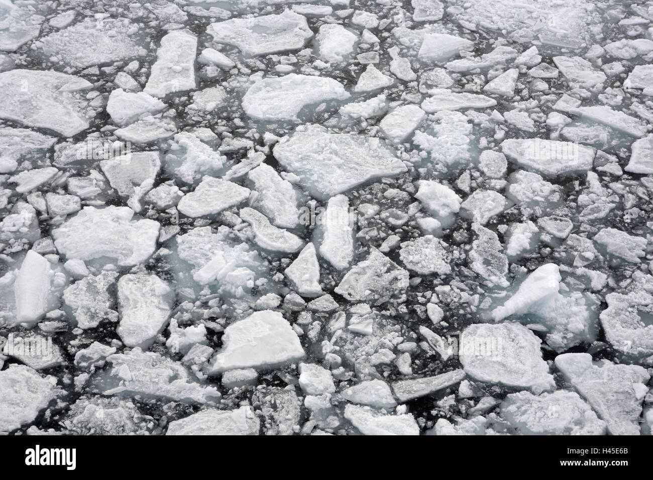 Arctic ocean, pack ice, detail, for editorial use only, expedition ...