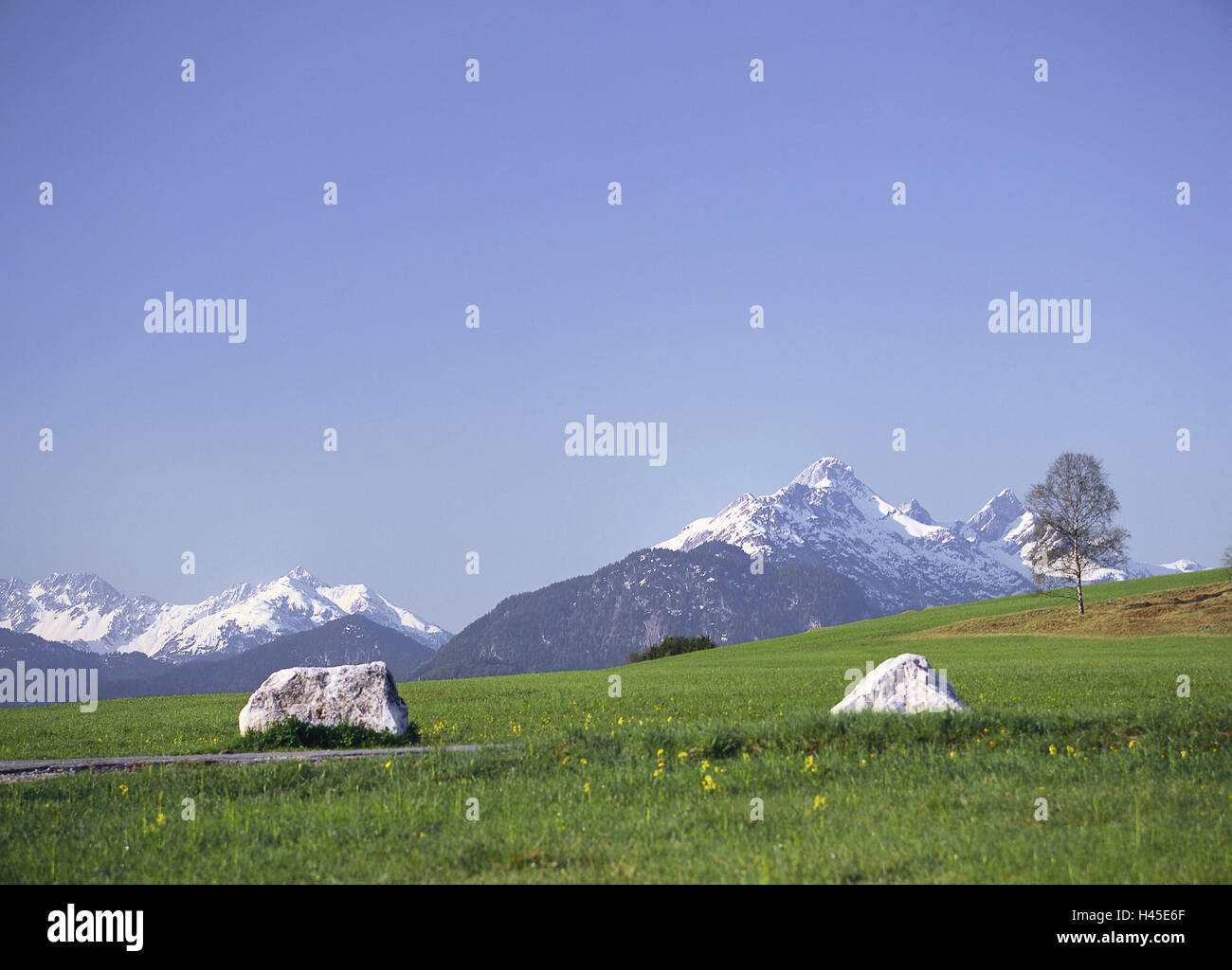 Germany, Bavaria, Mittenwald, hump meadows, mountain landscape, Upper ...