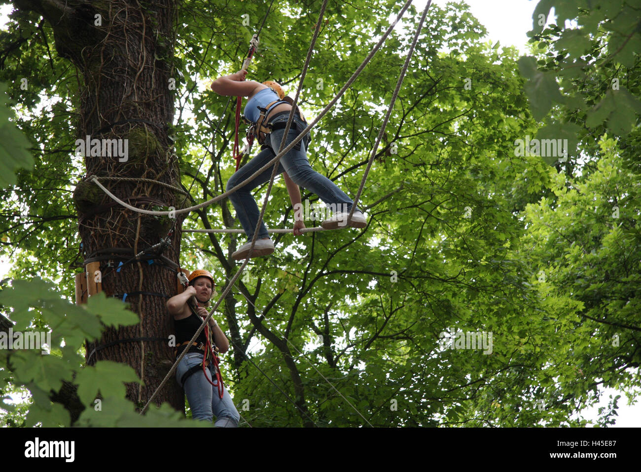 High rope park, women, ropes, climbing, skill, balance, activity, fun ...
