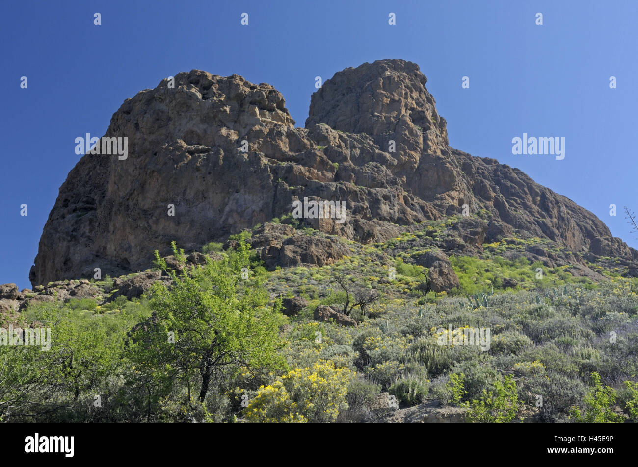 Spain, Canary islands, island grain Canaria, close Fataga, bile ...