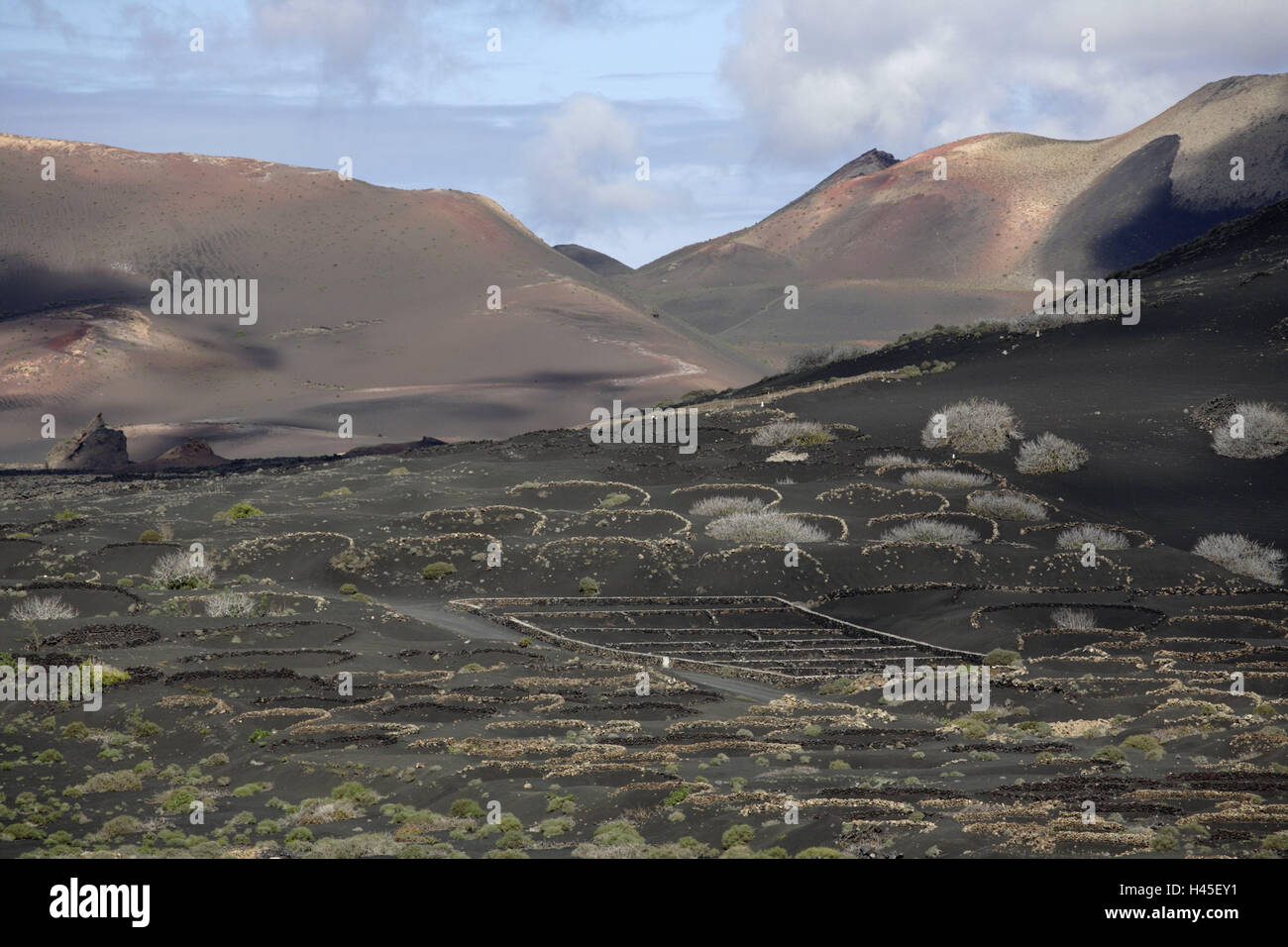 Spain, the Canaries, island Lanzarote, La Geira, volcano scenery, lava ...