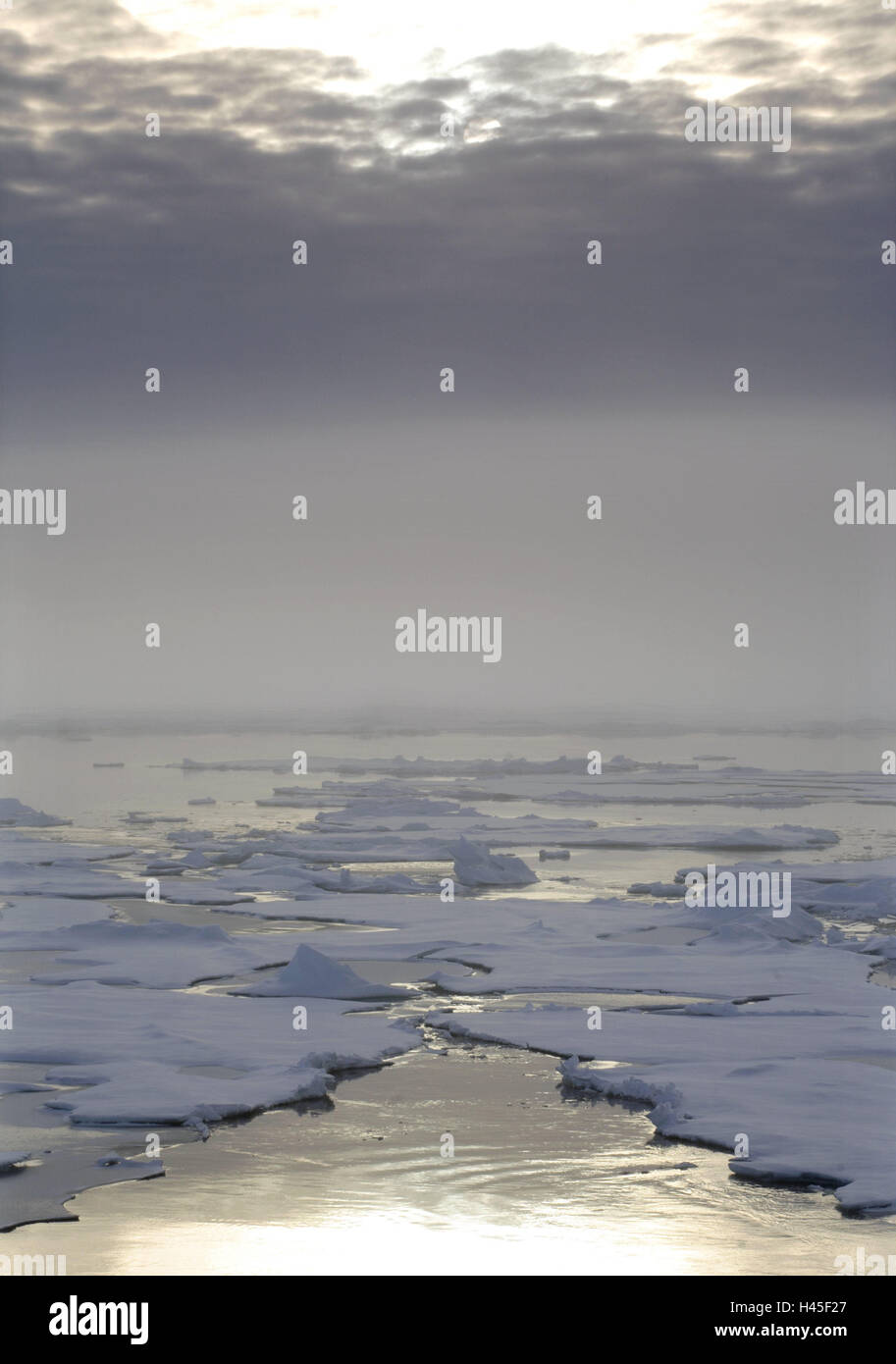 Arctic ocean, pack ice, hazy, cloudies, only editorially, Mau Reportage ...