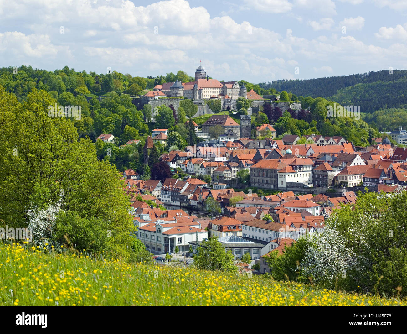 Germany, Bavaria, Kronach, town view, fortress Rose mountain, Castle ...