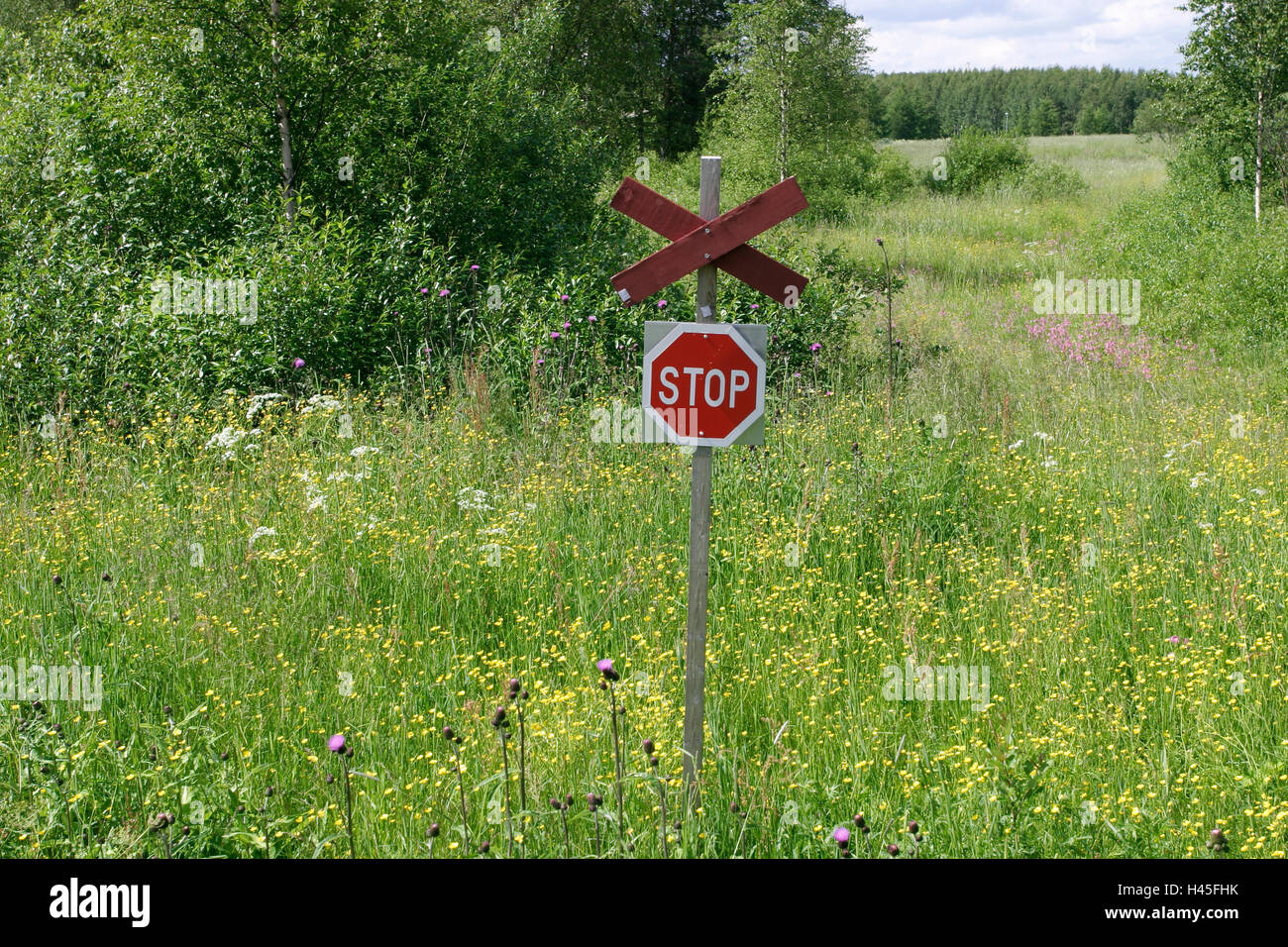 stop sign on meadow, Finland Stock Photo - Alamy