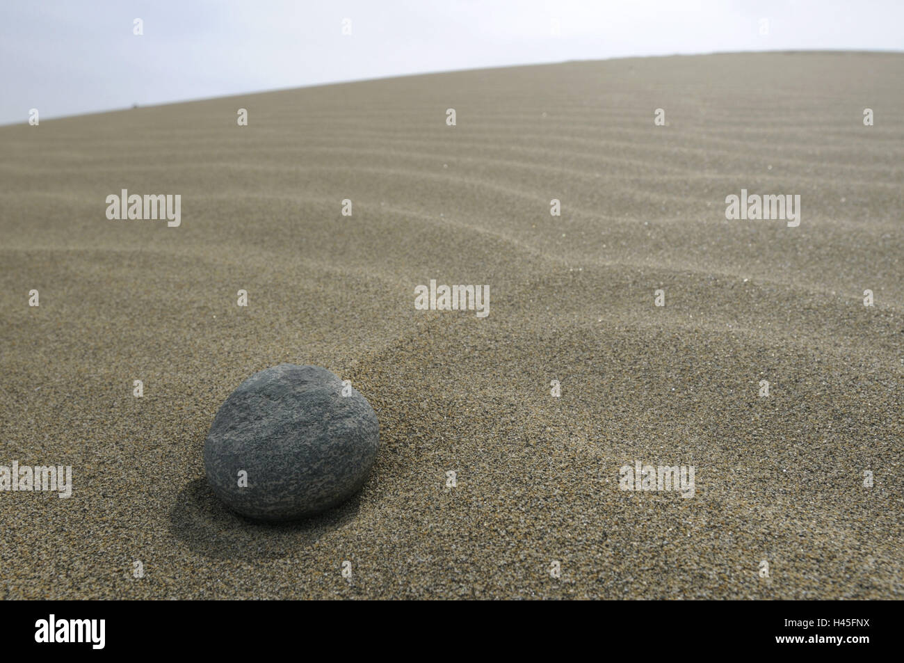 Dunes, Sand, stone, detail Stock Photo - Alamy