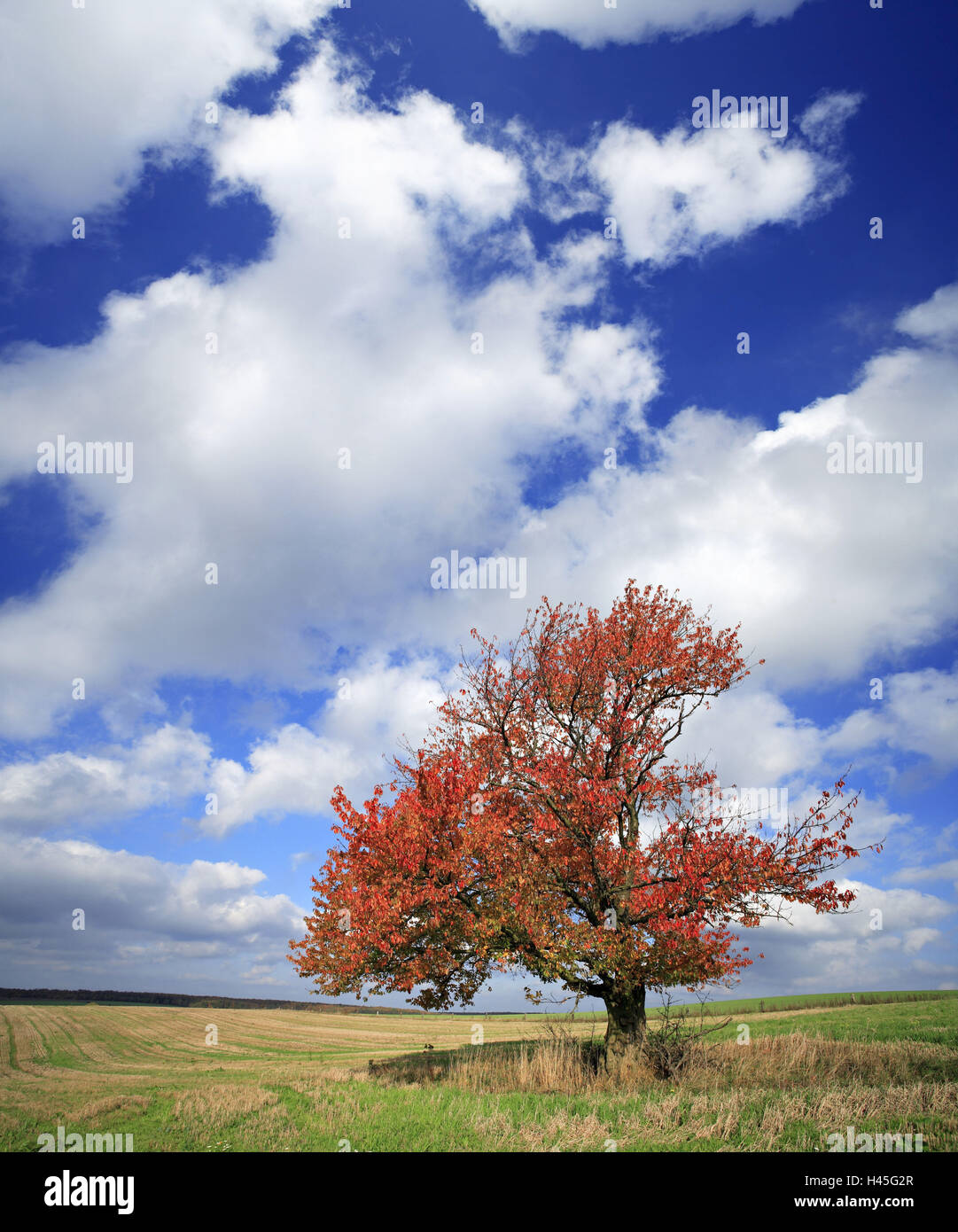 Autumn saxony hi-res stock photography and images - Alamy