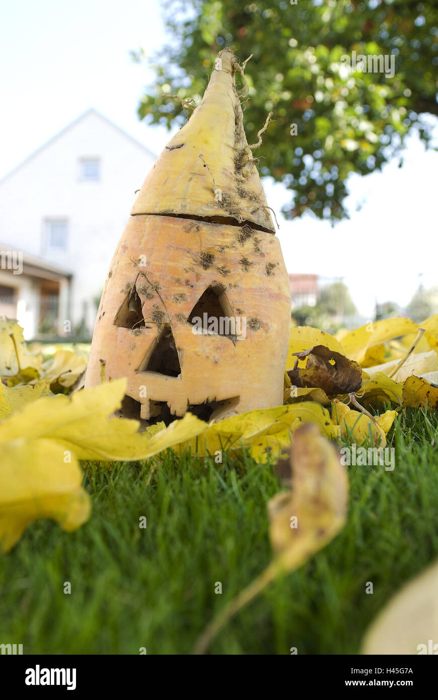 Turnip mind, grass, foliage Stock Photo - Alamy