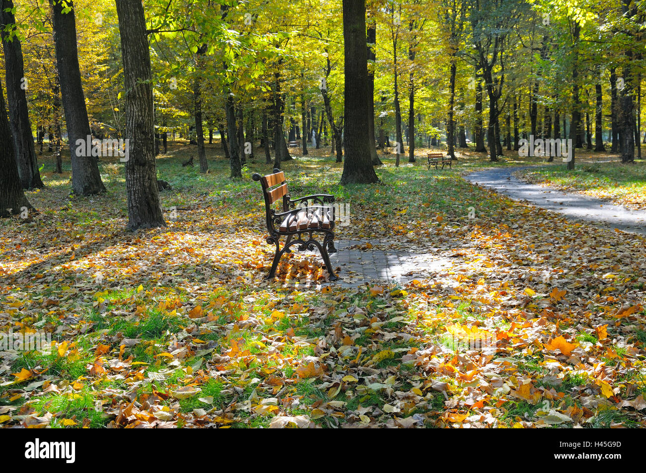 autumn park with paths and benches Stock Photo - Alamy