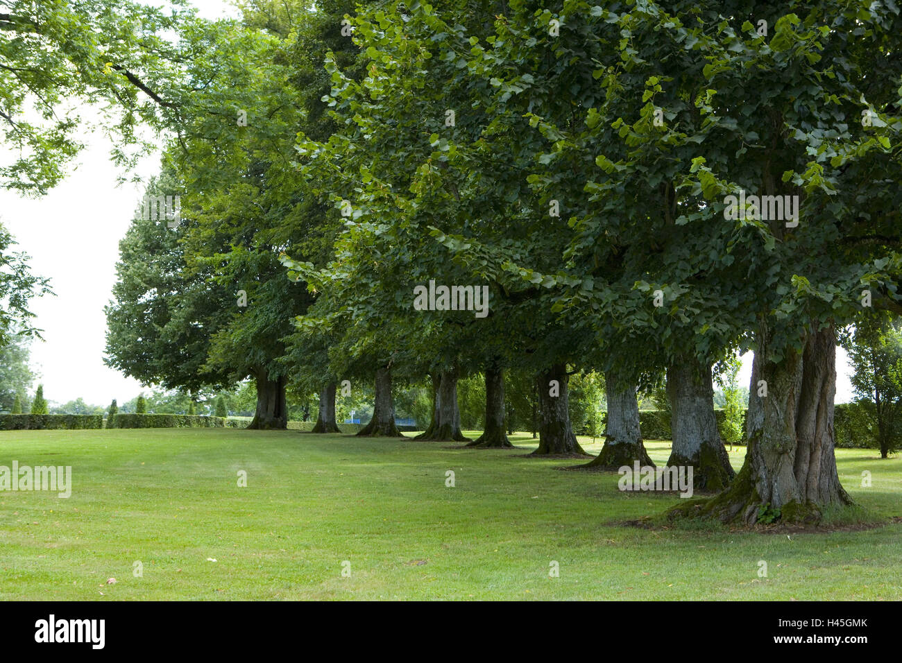 Castle grounds, meadow, trees Stock Photo - Alamy