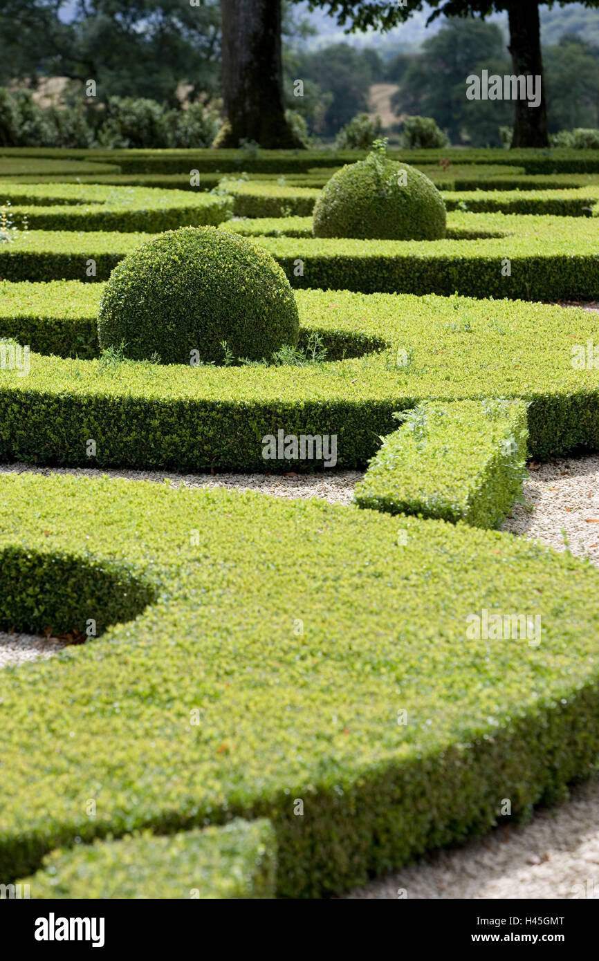 Box hedges hi-res stock photography and images - Alamy