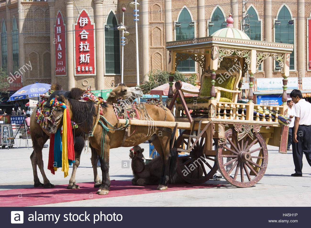 Camel Drawn Cart Stock Photos & Camel Drawn Cart Stock Images - Alamy