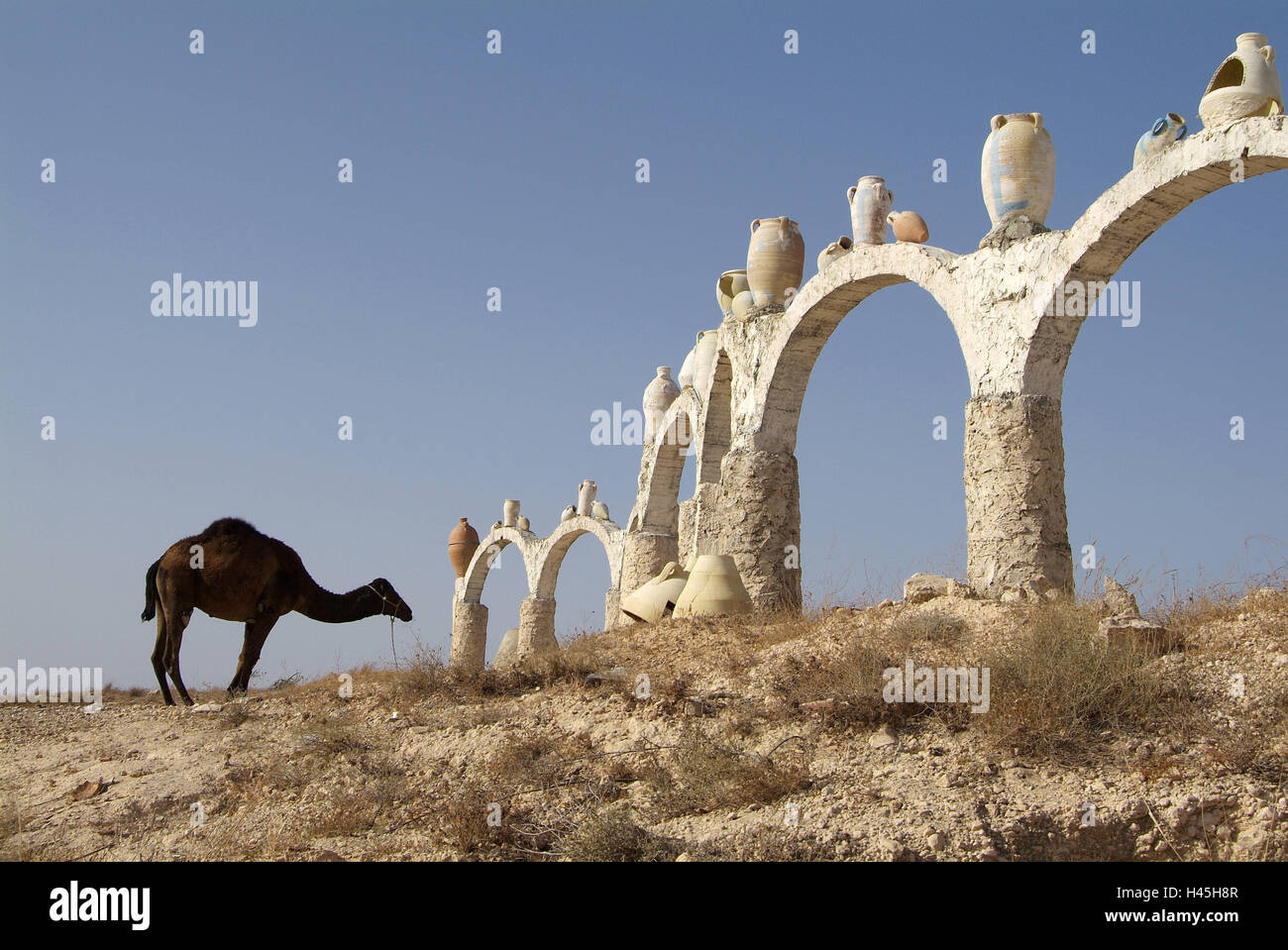 Tunisia, Djerba, Guellala, pottery, dromedary Stock Photo - Alamy