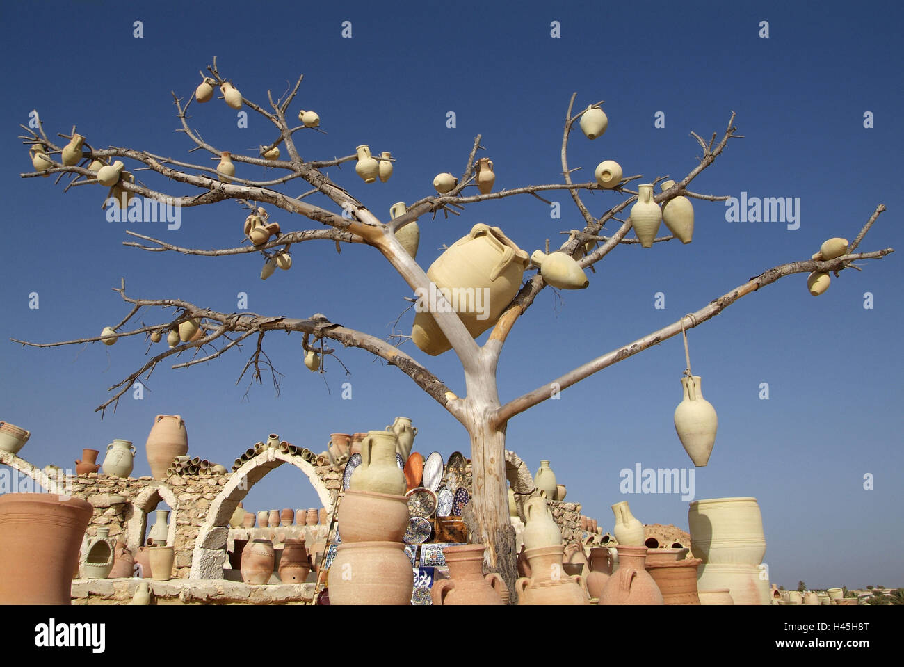 Sidra tree hi-res stock photography and images - Alamy