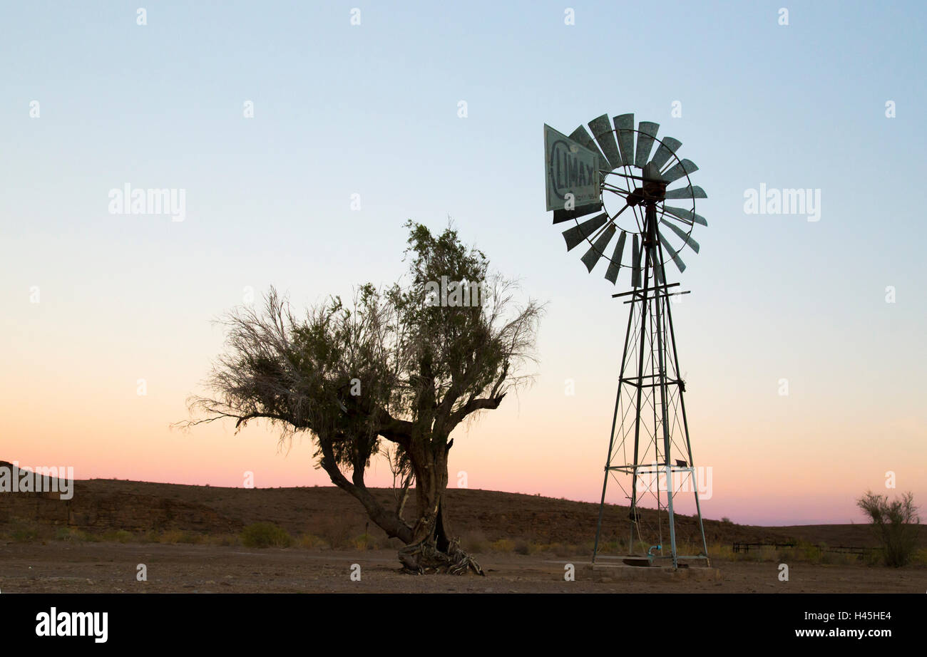 Moody dusk silhouette of a traditional farm windmill and hardy bush in ...